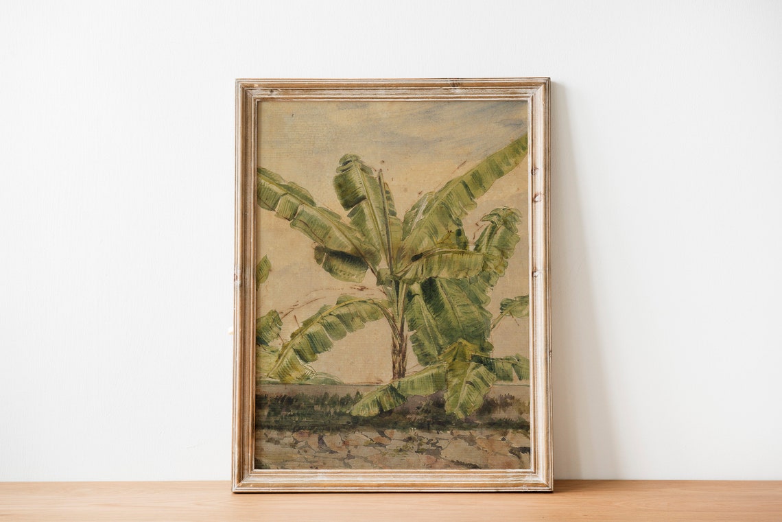 Banana Tree Print Antique Botanical Illustration Poster | Etsy