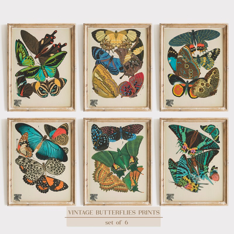 Butterfly Lithograph - Etsy