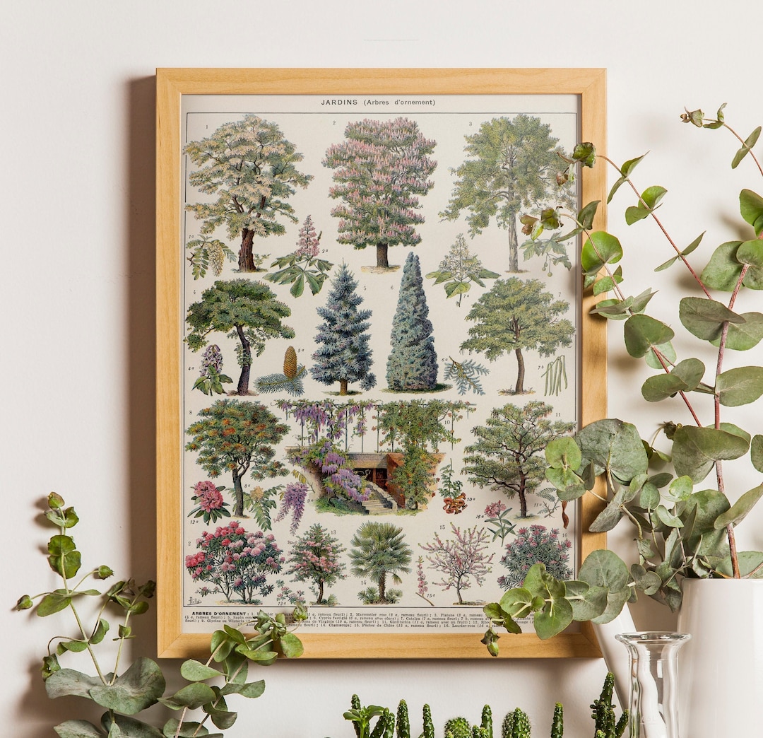 Vintage Forest Print, Forest Print, Larousse, Forest Wall Art, Tree ...