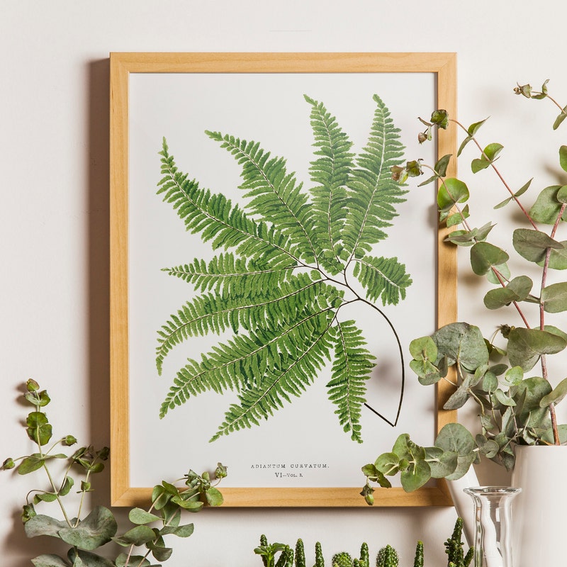 Vintage Fern - Etsy