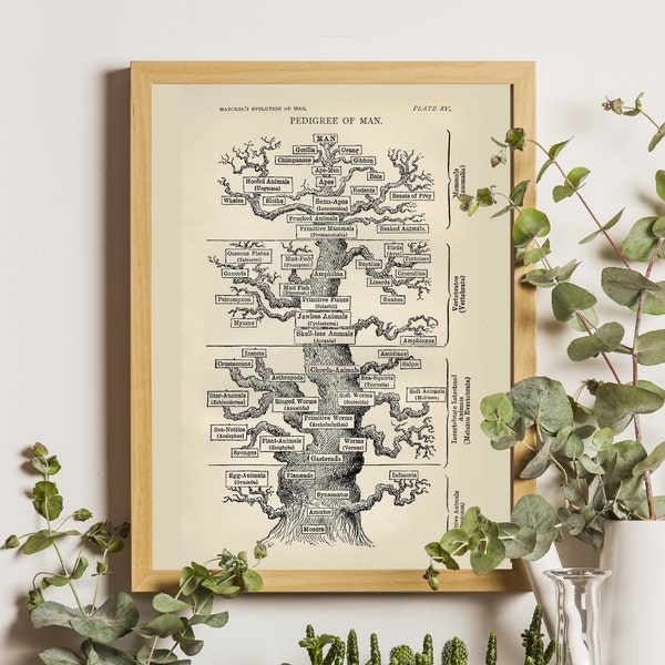 Tree of Life Print - Etsy