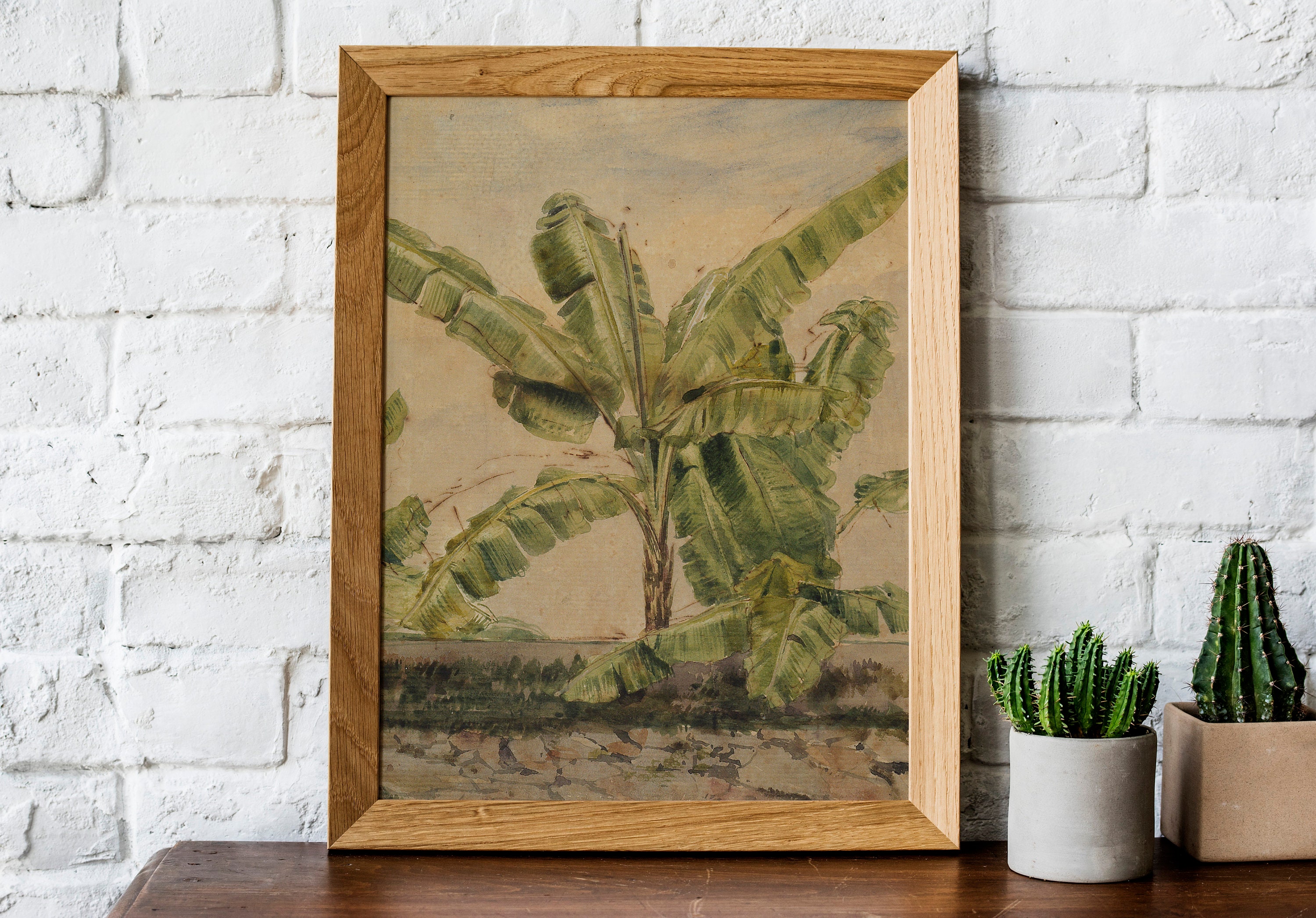 Banana Tree Print Antique Botanical Illustration Poster - Etsy