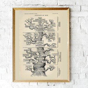 Tree of Life Print, Haeckel Scientific Illustration, Natural Science ...