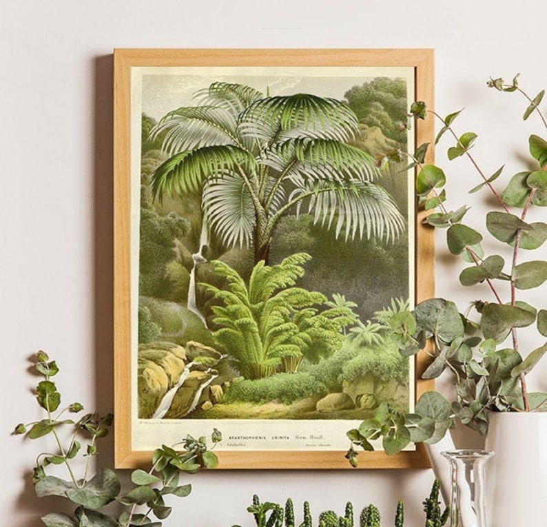 Palm Tree Art Print Antique Botanical Vintage Palm Tree Etsy