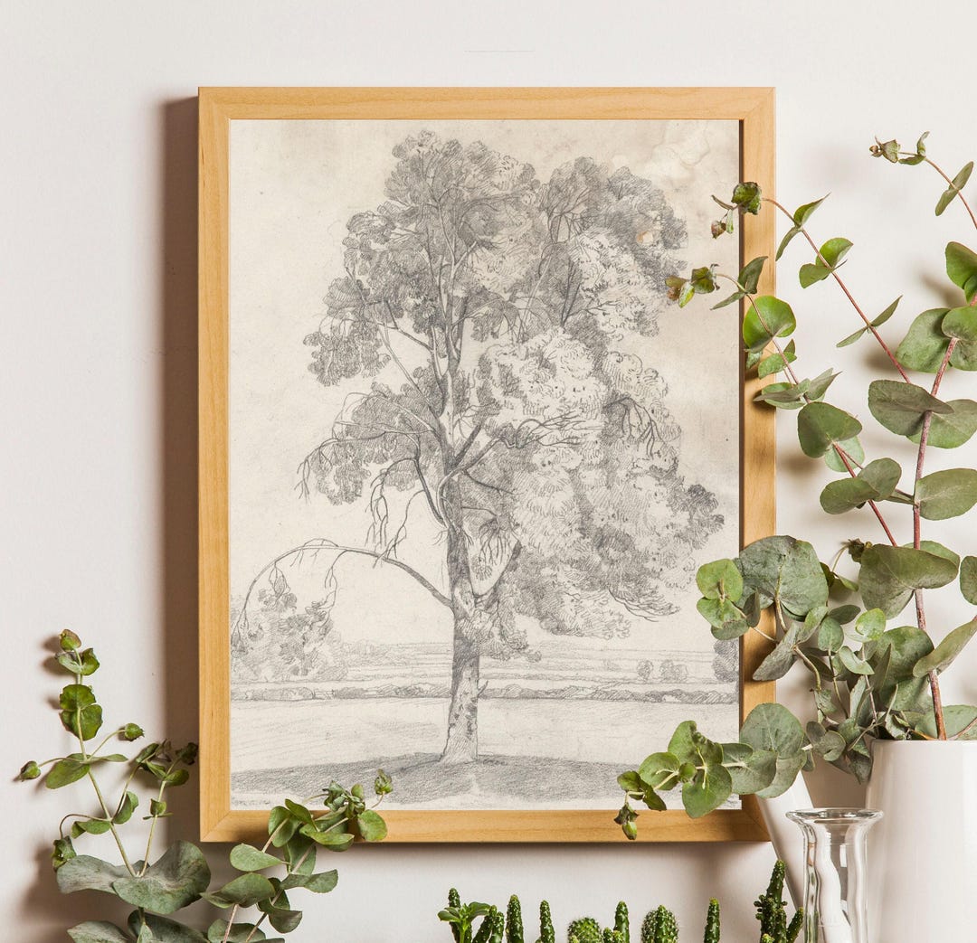 Vintage Tree Drawing Print: Rustic Farmhouse Wall Art - Etsy