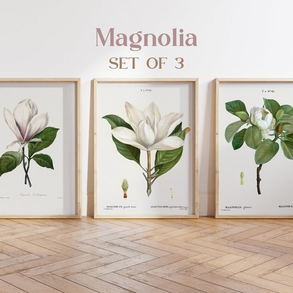 Botanical Print Set - Etsy