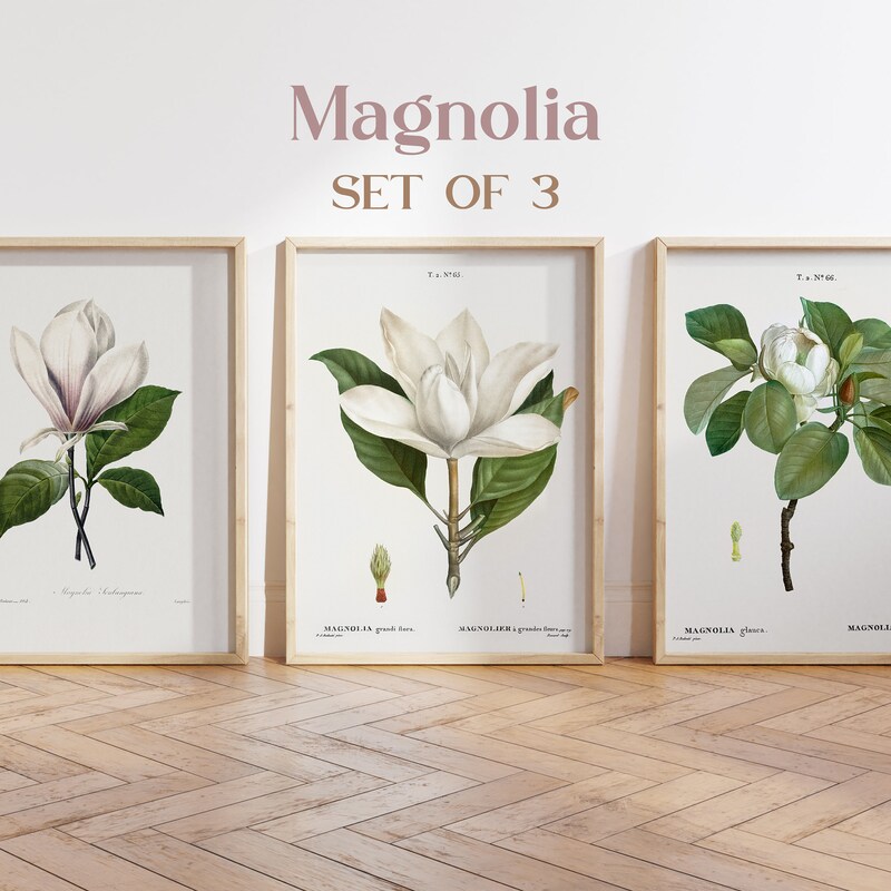 Magnolia Print - Etsy