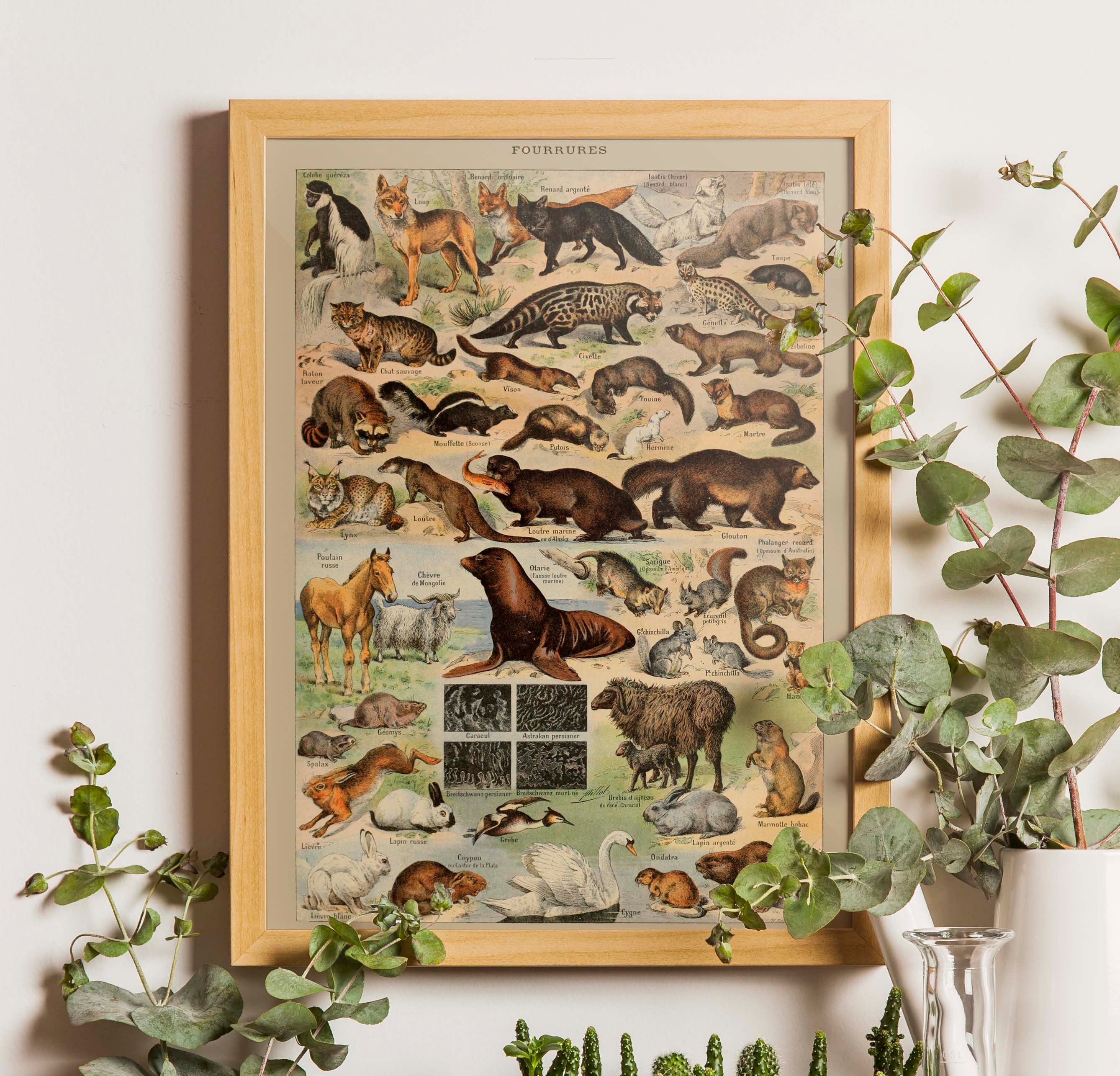 Vintage Animal Print Wild Animals Wild Nature Animal Poster - Etsy