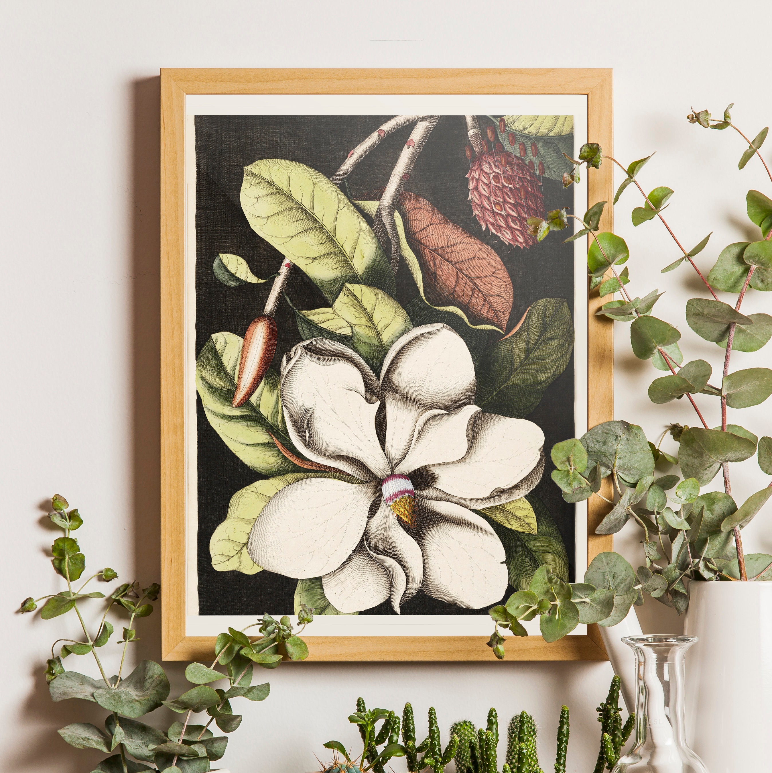 Magnolia Print Antique Floral Print Pink Magnolia Art Vintage Magnolia ...