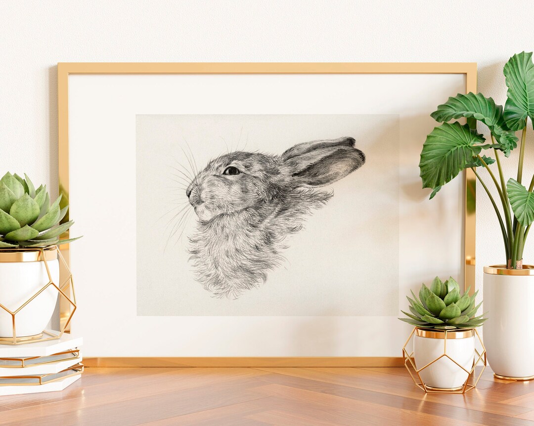 Vintage Rabbit Print, Vintage Bunny Drawing, Bunny Nursery Art, Rabbit ...