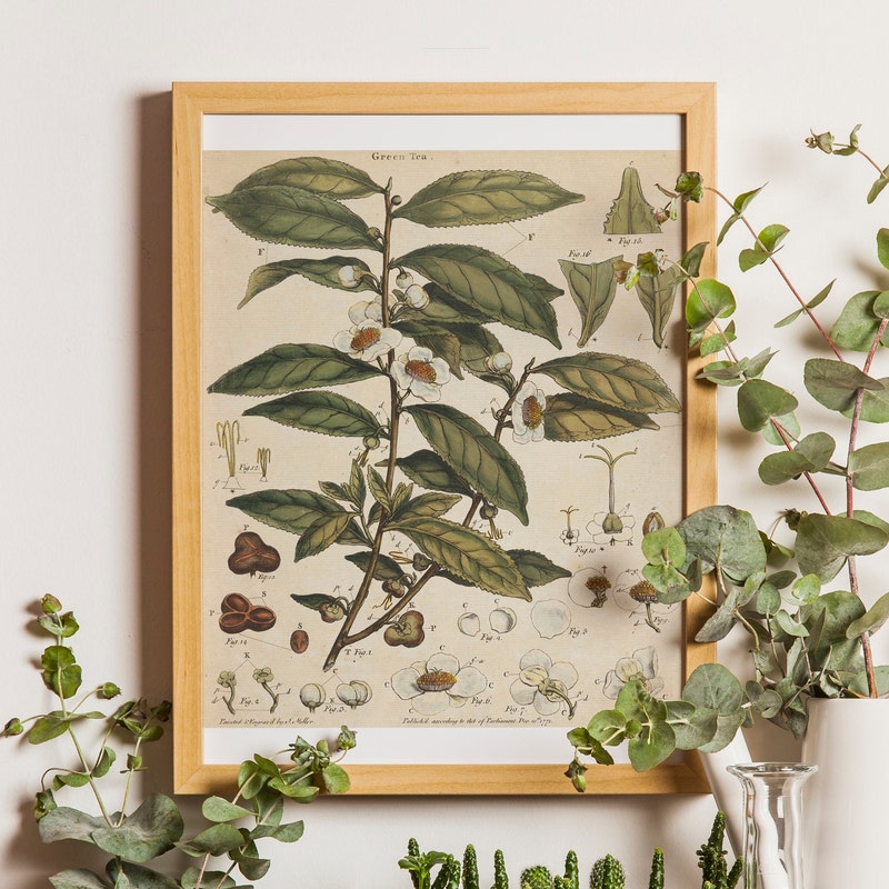 Tea Wall Art - Etsy