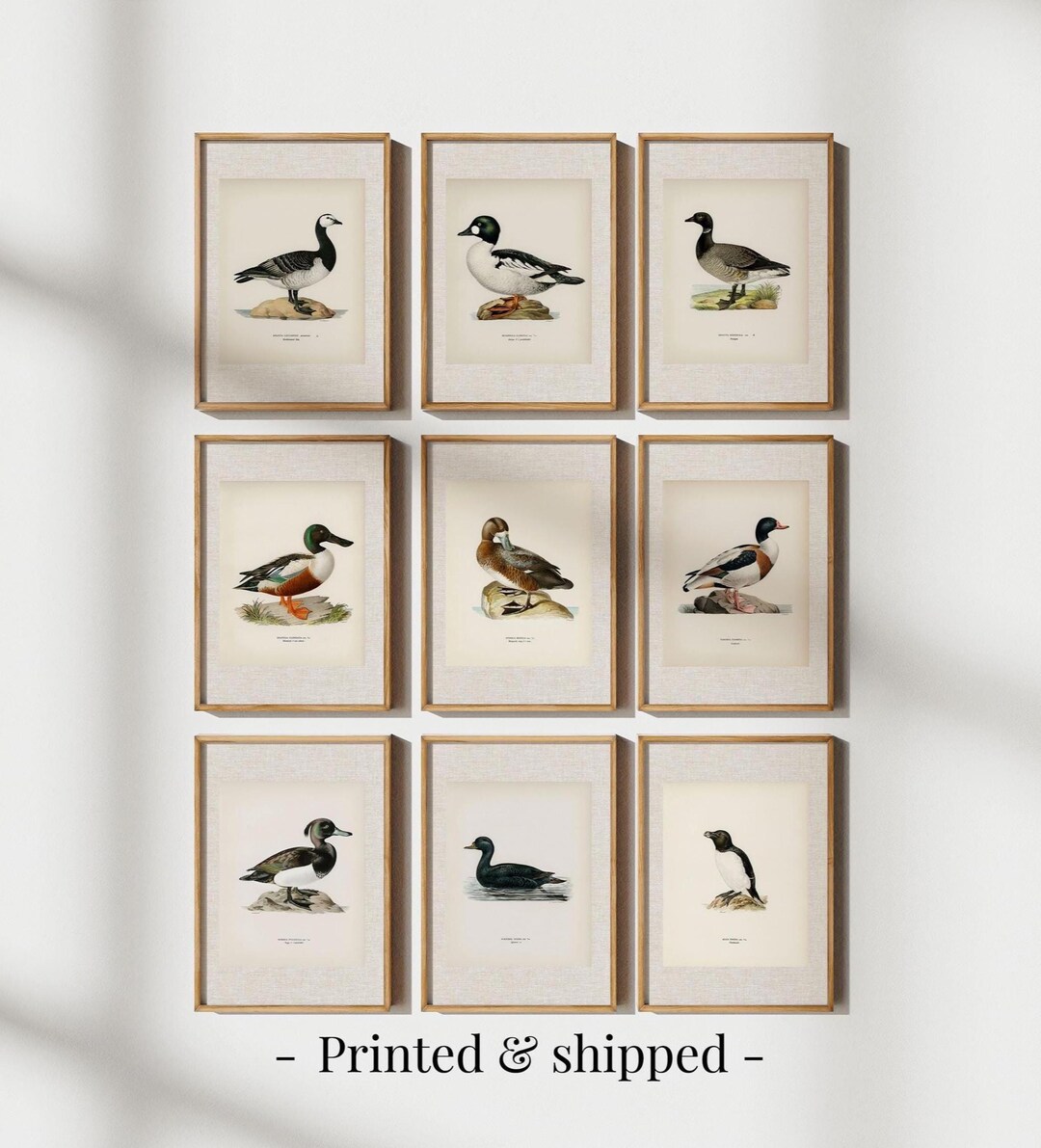 Cottagecore Bird Print Set: Vintage Duck & Goose Gallery Wall Art - Etsy