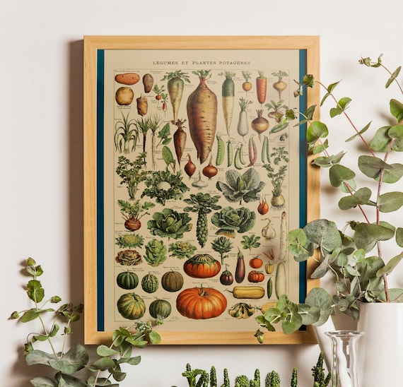 Vintage Vegetable Posters
