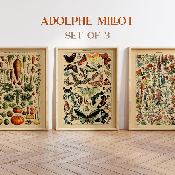 Adolphe Millot - Etsy