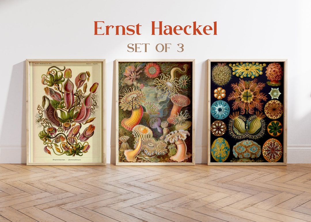 Ernst Haeckel Print Set, Botanical Wall Art, Vintage Flower Print ...