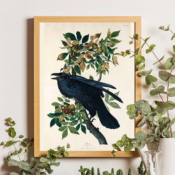 Antique Raven Poster - Etsy