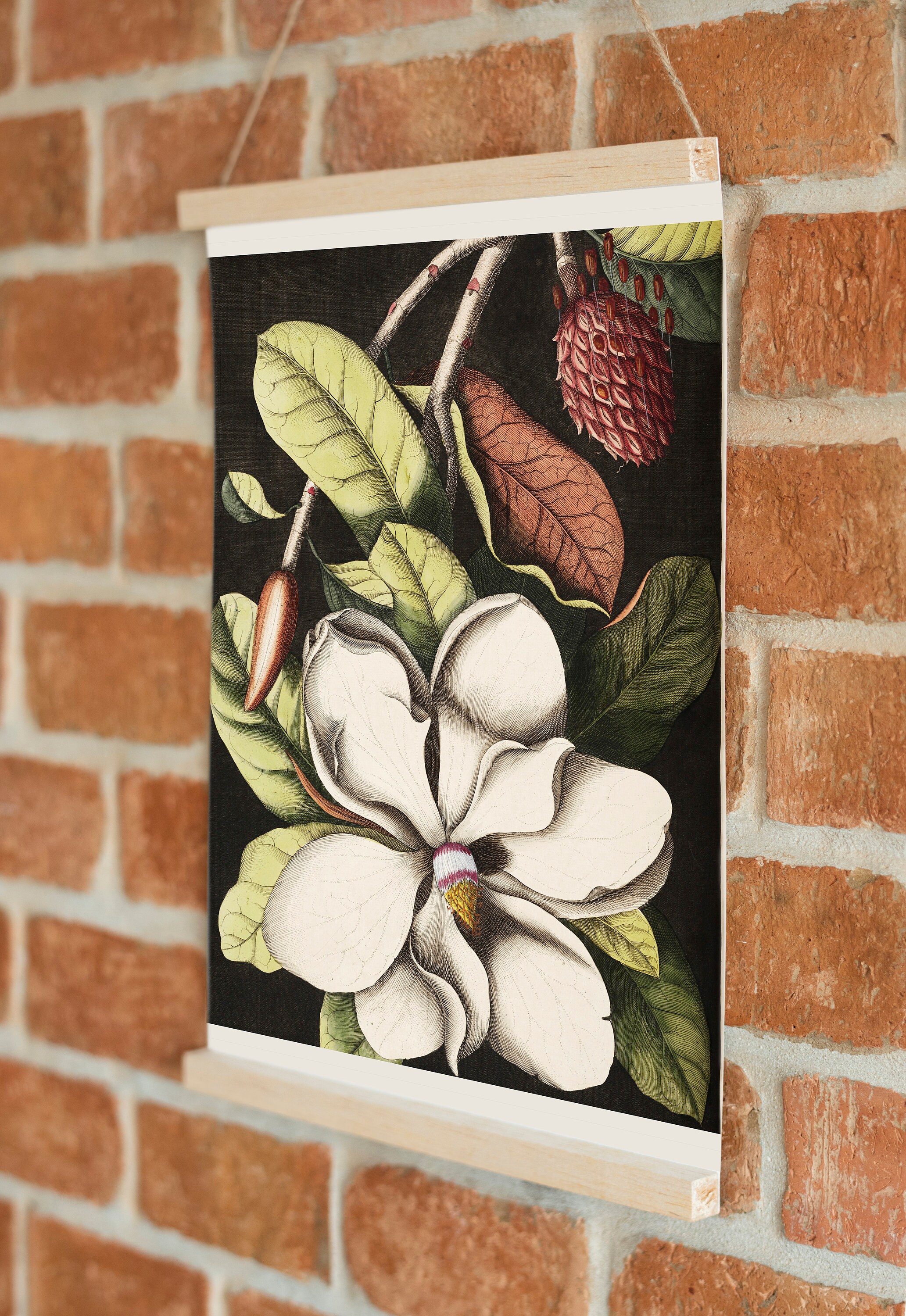 Magnolia Art Print Magnolia Flower Magnolia Print Botanical - Etsy