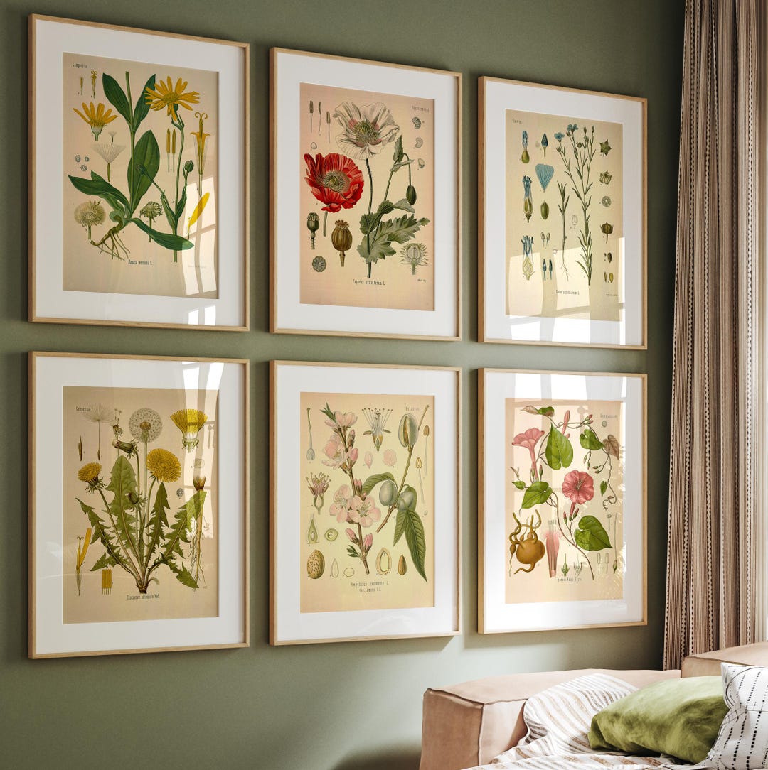 Botanical Poster Set of 6 Flowers, Gallery Wall Set, Botanical Prints ...