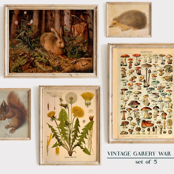 Forest Animal Prints - Etsy