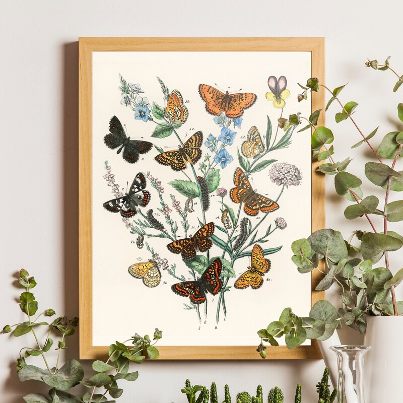 Butterfly Poster - Etsy