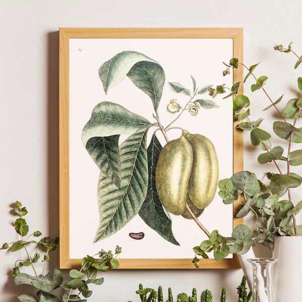Botanical Poster - Etsy