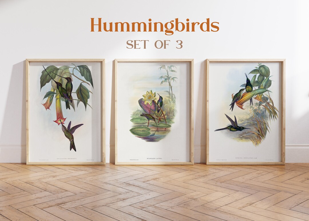 Vintage Hummingbirds Gallery Wall Set, Hummingbirds Art Print, Bird ...