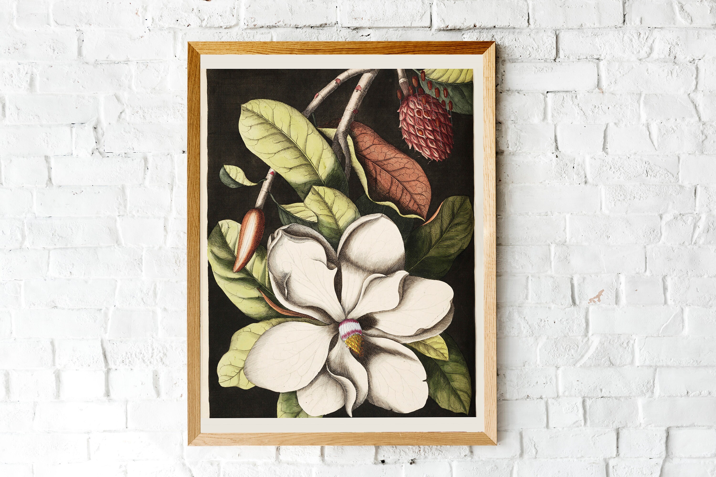 Magnolia Art Print Magnolia Flower Magnolia Print Botanical - Etsy