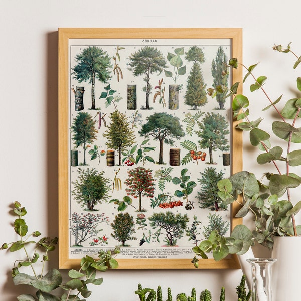 Tree Poster Etsy