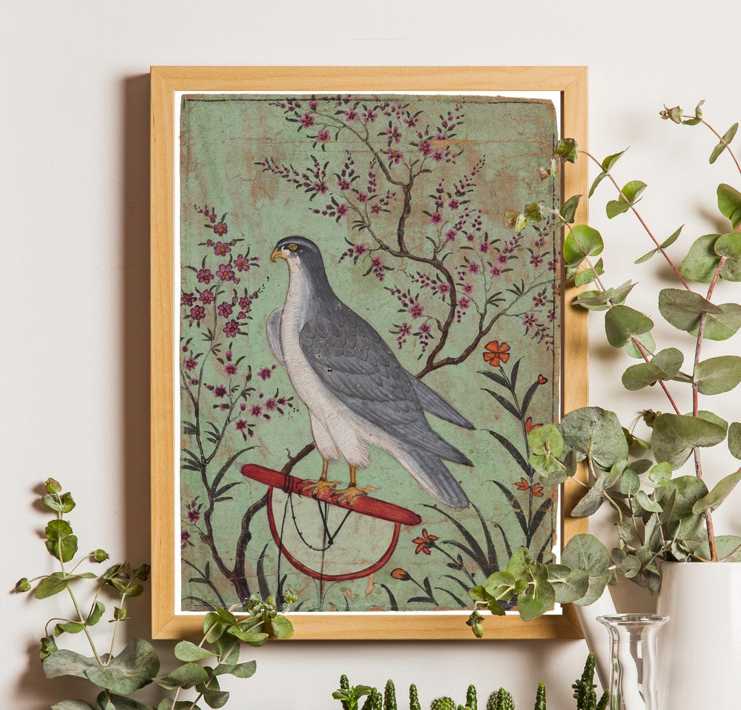 Falcon on Perch Indian Art Print: Vintage Botanical Wall Decor - Etsy
