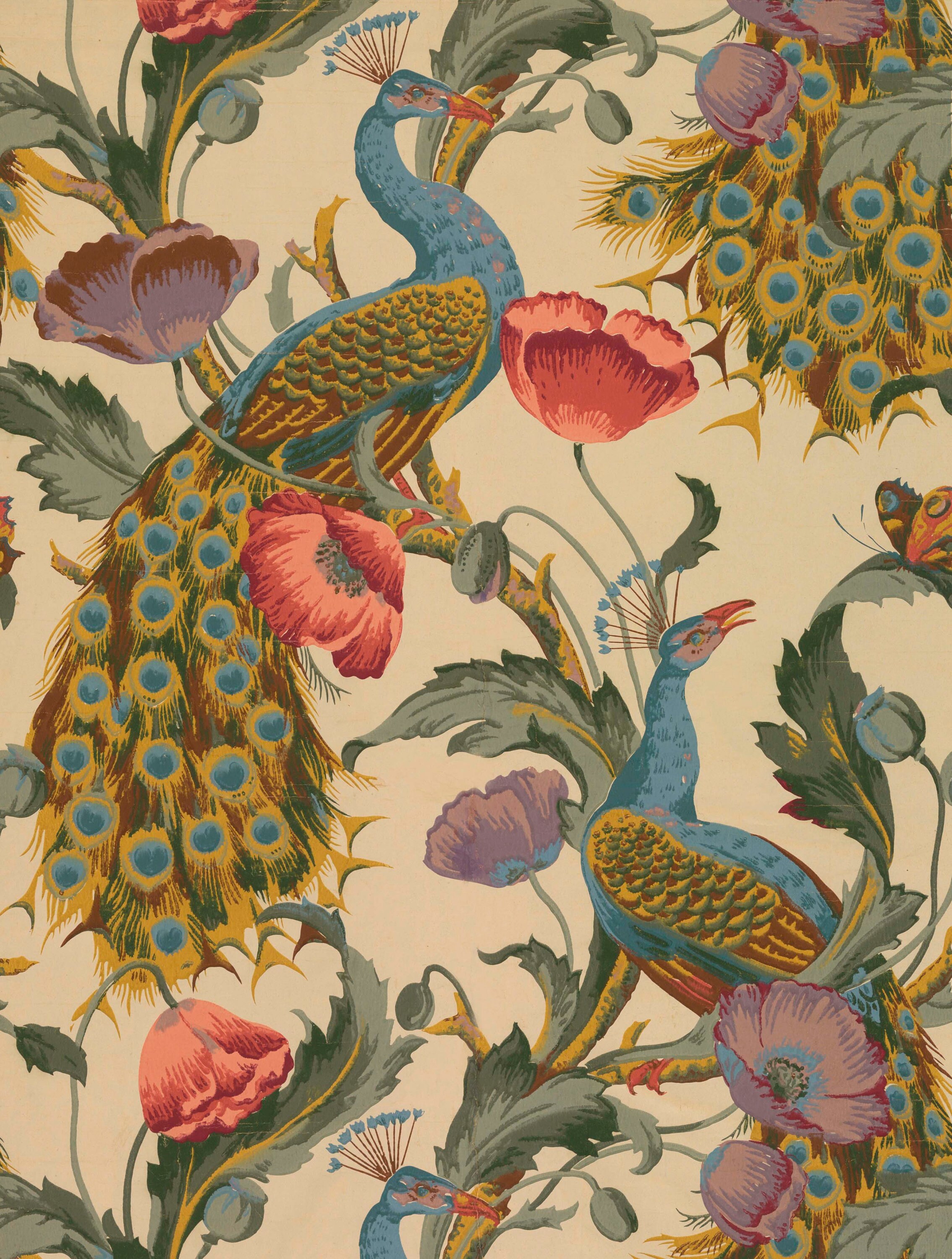 Vintage Peacock Print Peacock Art Print Poppies Print - Etsy