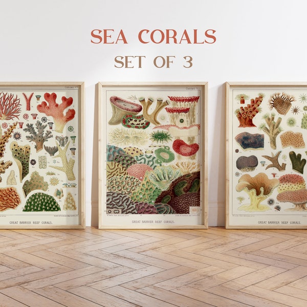Coral Prints - Etsy