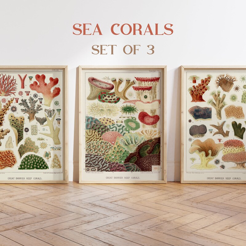 Coral Print - Etsy