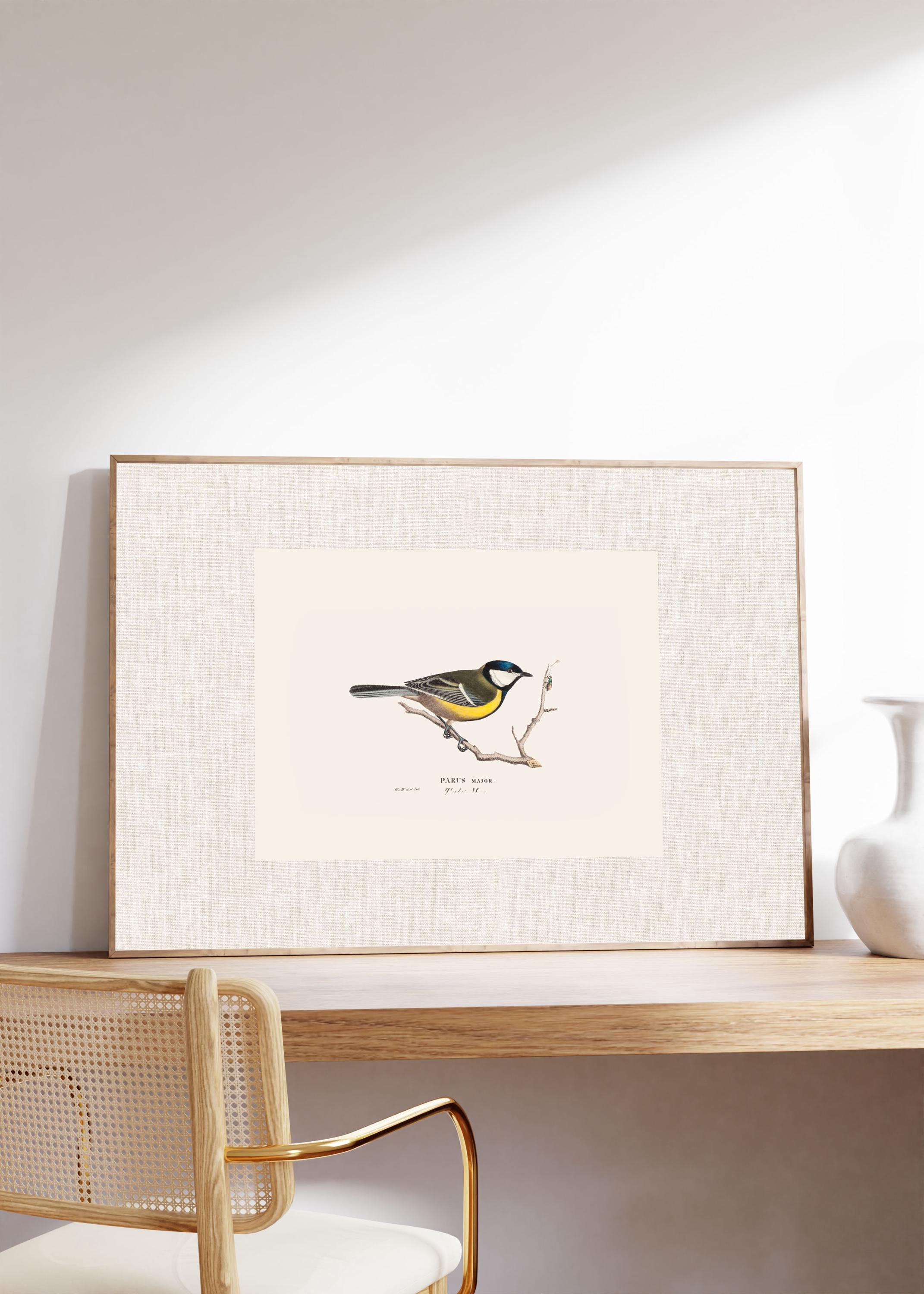 Antique Bird Prints Set: Vintage Botanical Gallery Wall Art - Etsy