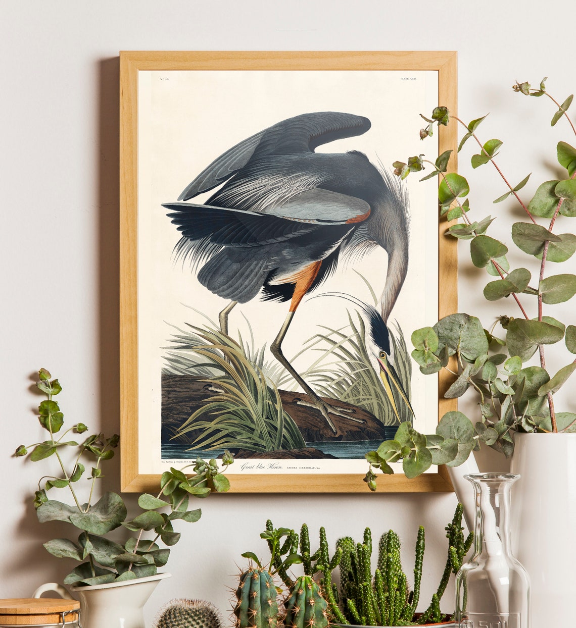 Audubon Birds Set of 3 Prints Vintage Audubon American - Etsy