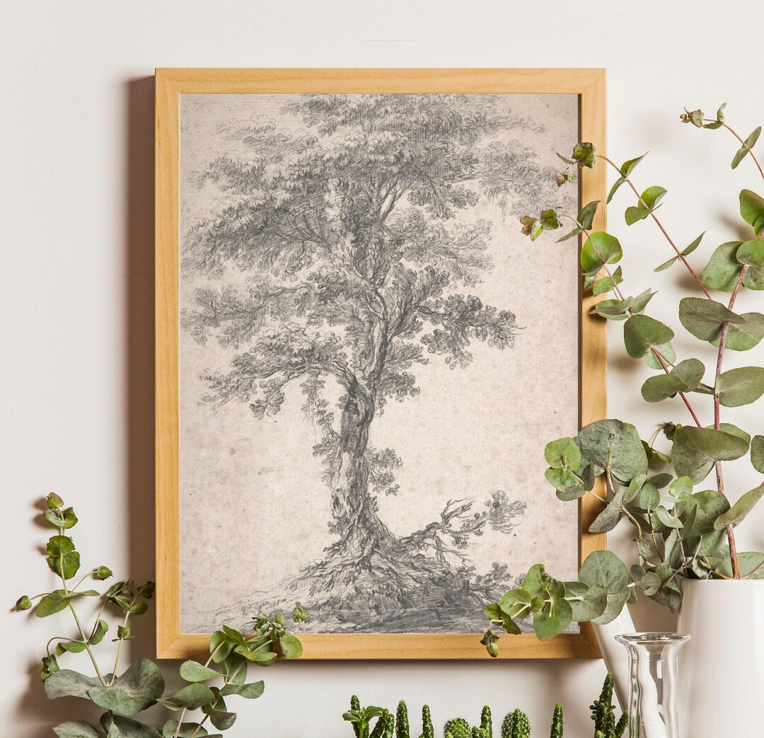 Antique Tree Drawing Print: Vintage Farmhouse Wall Art - Etsy
