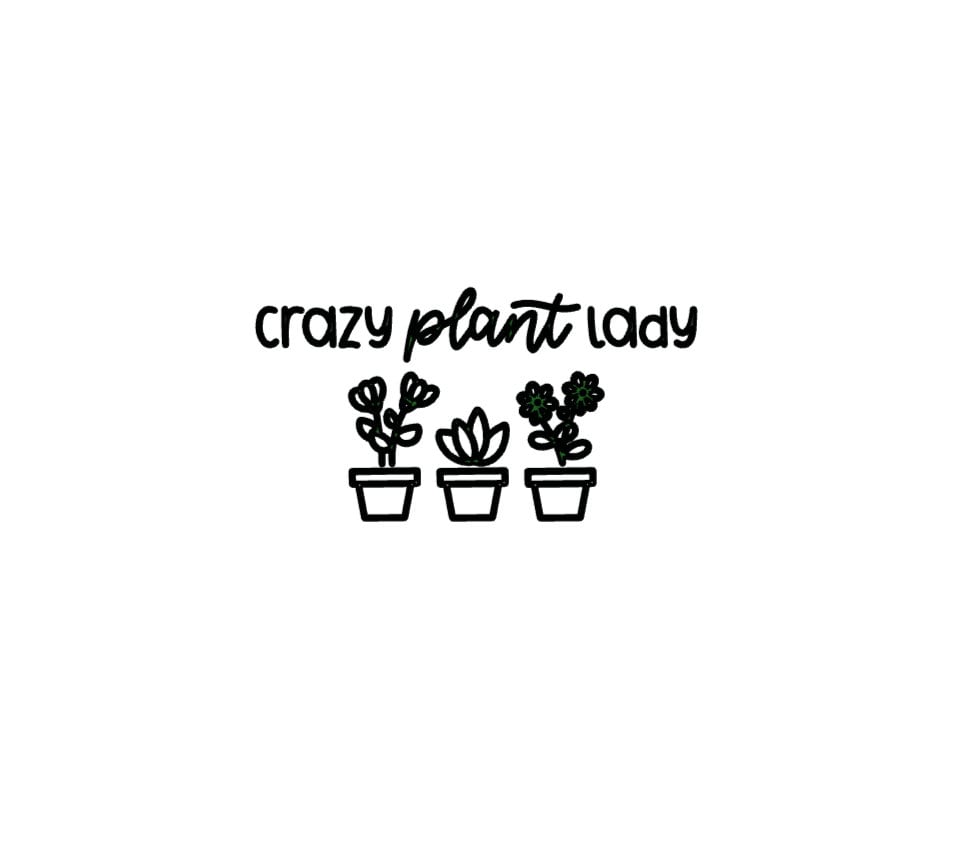 Plant Decals, Crazy Plant Lady Decals, on My Way to Buy More Plants ...