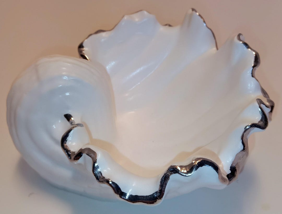 Gypsum Sea Shell, Gypsum Dish, White Shell, Candy Bowl, Jewelry Dish ...