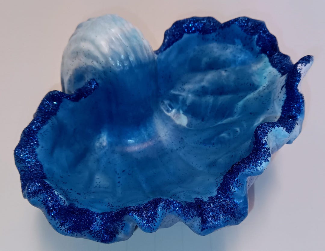 Gypsum Sea Shell, Gypsum Dish, Blue White Shell, Candy Bowl, Jewelry ...