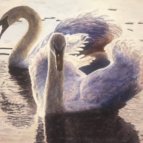 Moonlight Swan Watercolor Giclee Print 8 X 10 - Etsy