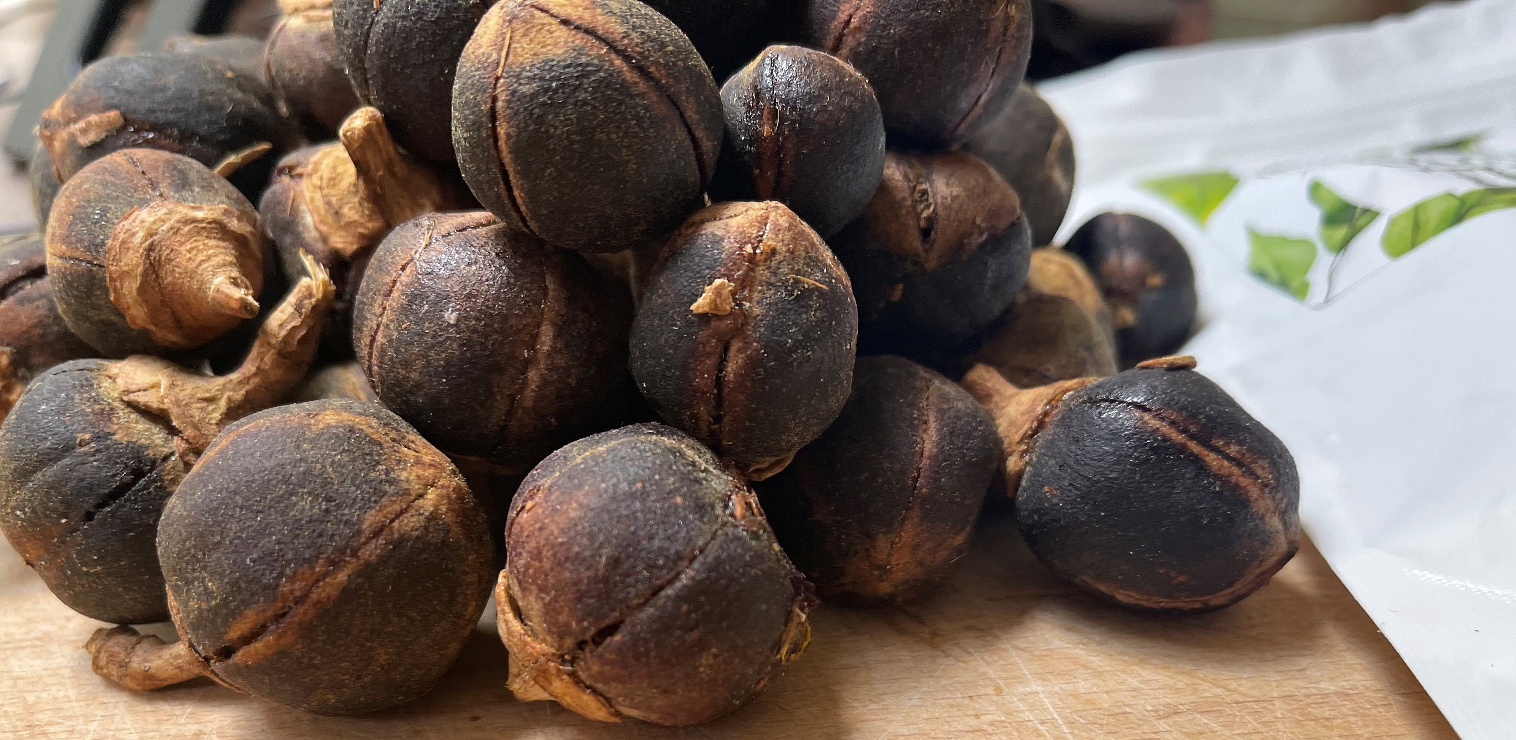 Organic Sweet Silky Gorontola Fruit Snot Apple various sizes | Etsy