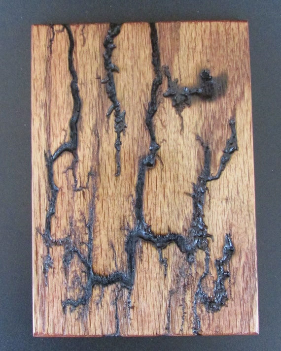 Lichtenberg Figure Panel Sample lightning Burning 5 | Etsy