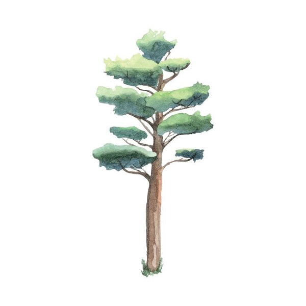 Oak Tree Wall Decal - Etsy