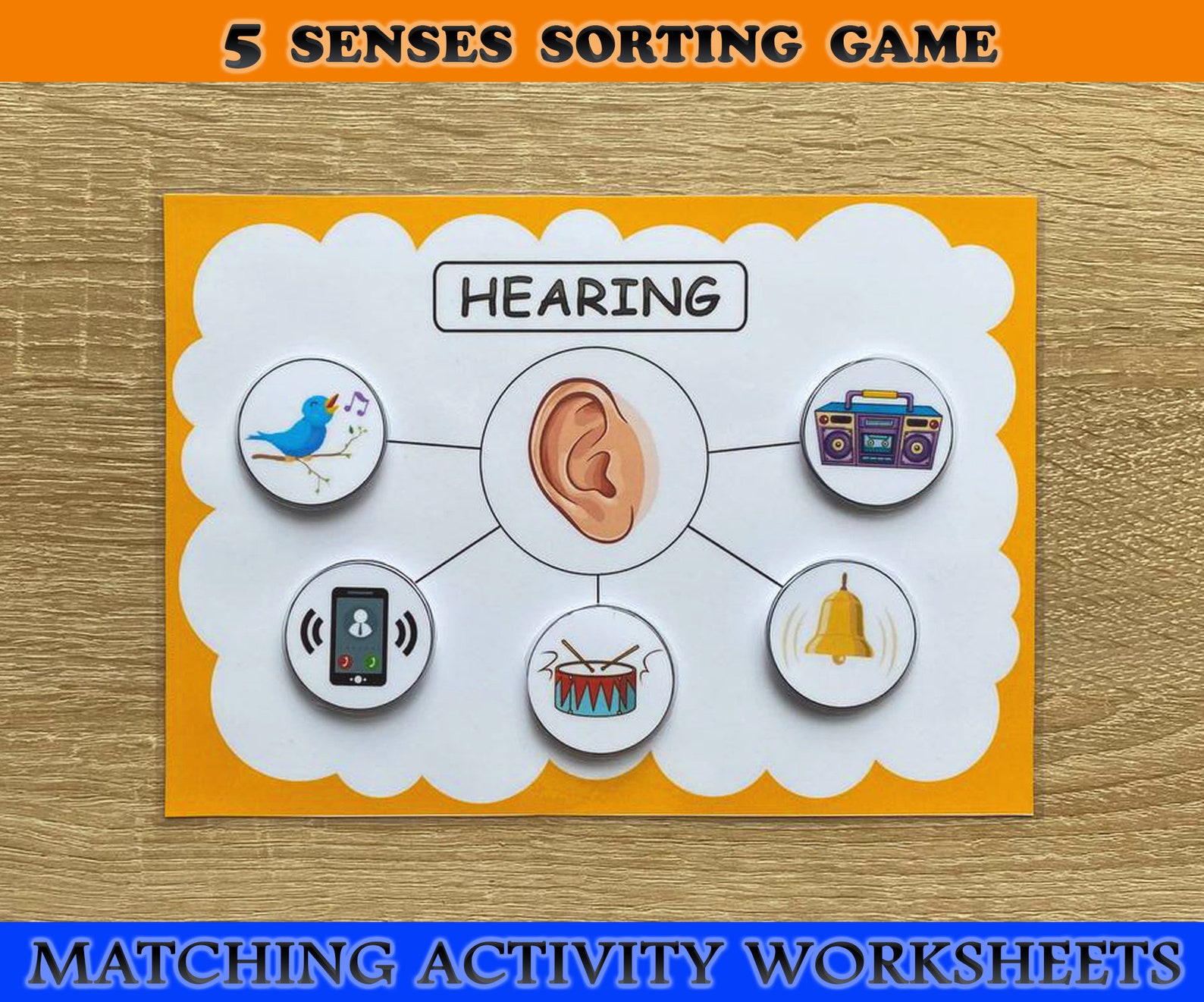 Five Senses Sorting Activity Printable 5 Senses Sorting - Etsy Canada