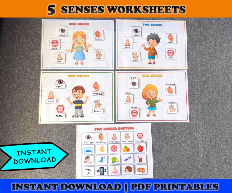 Five Senses Worksheets, 5 Senses Sorting, Homeschool Learning, Busy ...