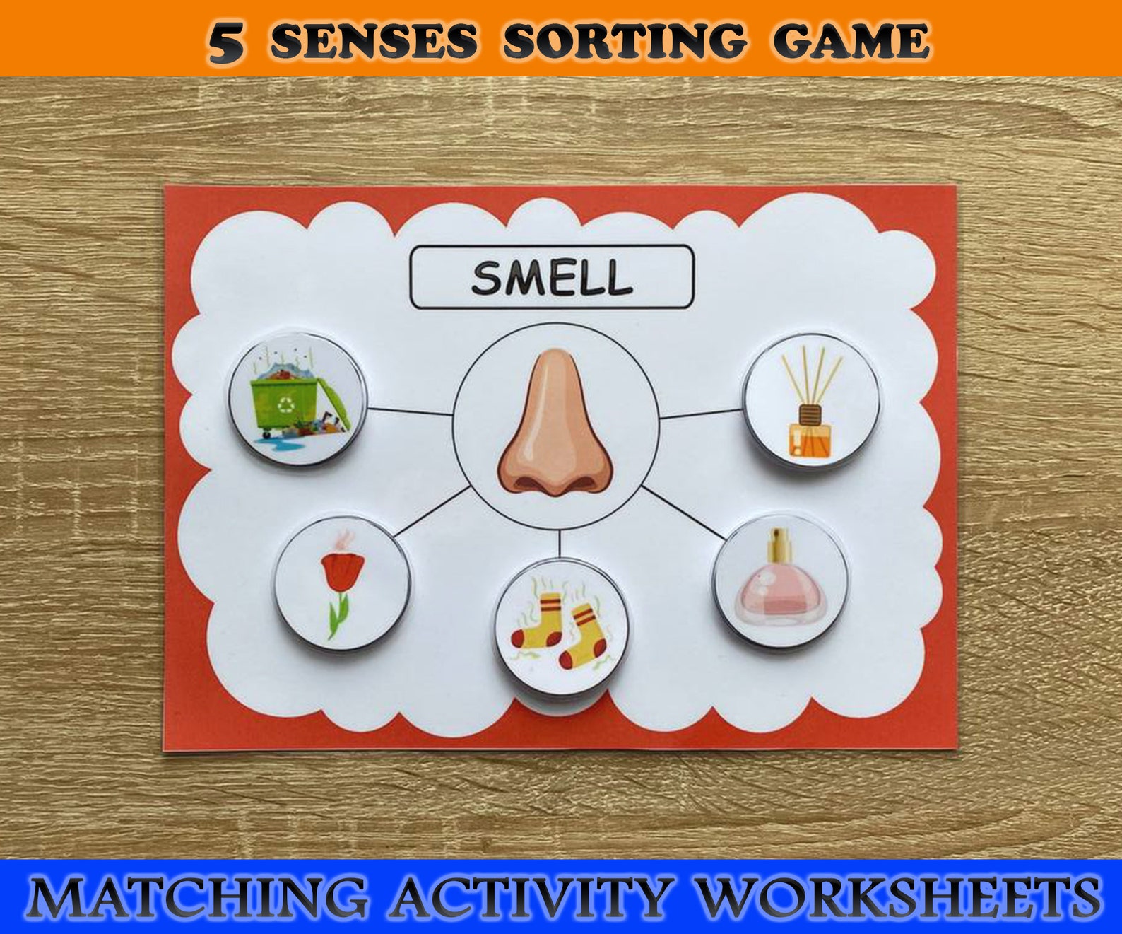 Five Senses Sorting Activity Printable 5 Senses Sorting - Etsy Canada