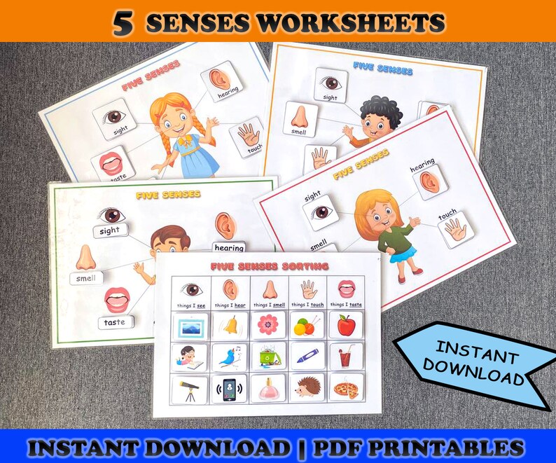 Five Senses Worksheets, 5 Senses Sorting, Homeschool Learning, Busy ...