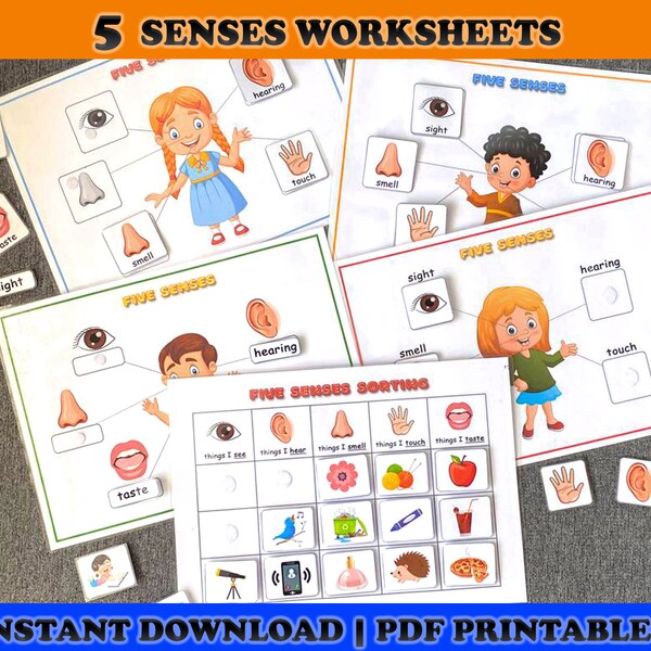 Preschool 5 Senses Match and Clip Cards/ Toddler Five Senses Activity ...