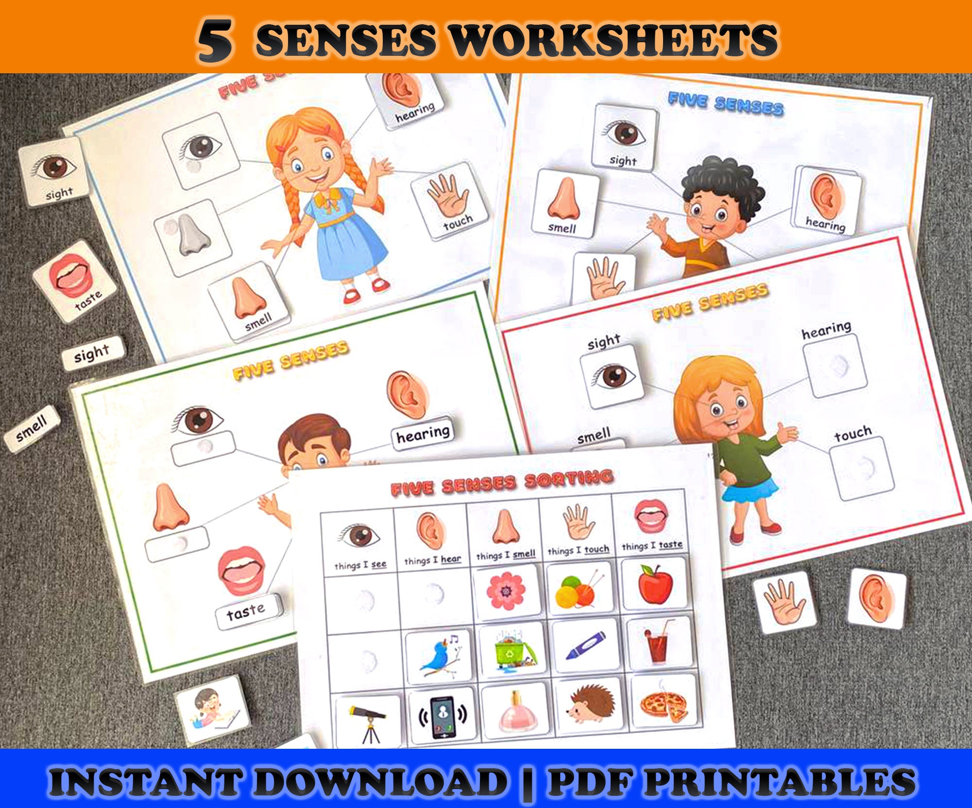 Hojas De Trabajo De Los 5 Sentidos Juego Para Niños. Tarjetas Cinco