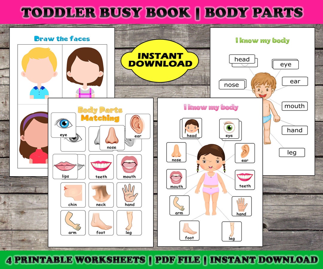 Toddler Busy Book Page, Body Parts Matching, Toddler Learning Binder ...