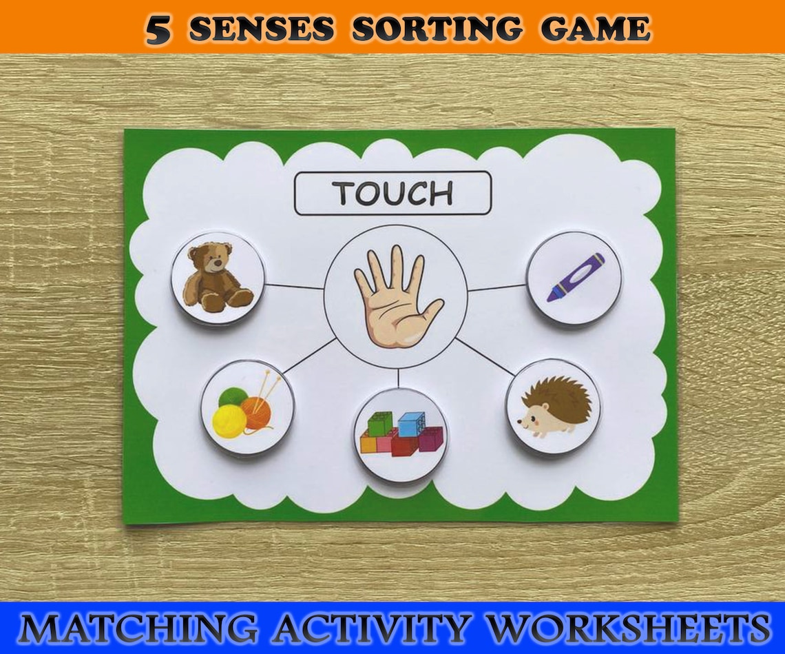 Five Senses Sorting Activity Printable 5 Senses Sorting - Etsy México
